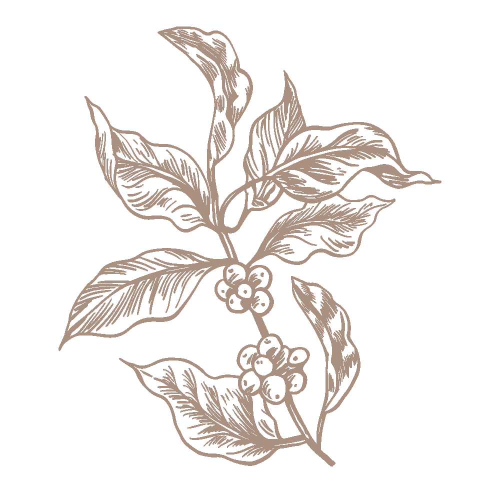 CODE.194 – Code.194 Coffee Roasters LTD